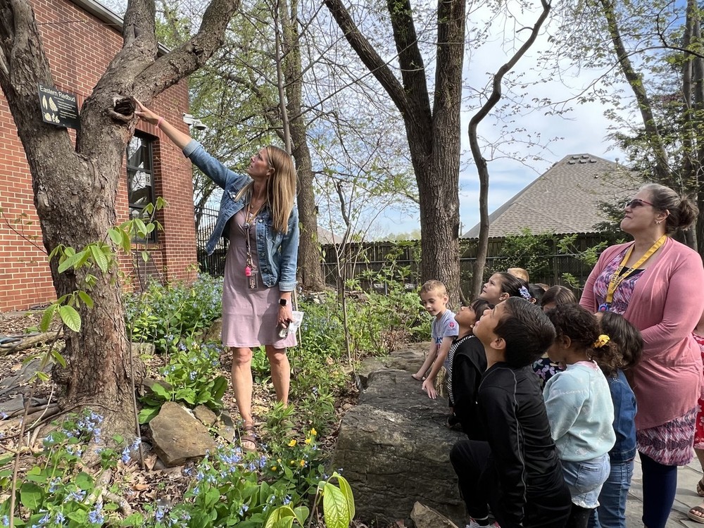 Outdoor Lessons in Conservation | Springdale Public Schools
